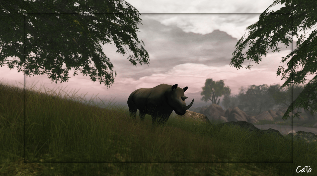 Caye Verte – Nature Preserve – Cait's World