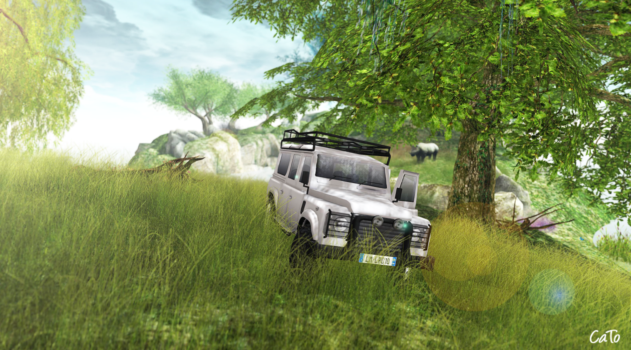 Caye Verte – Nature Preserve – Cait's World