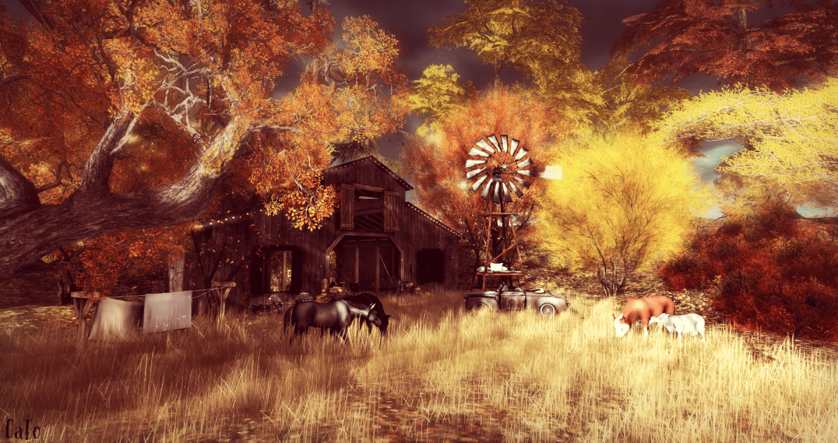 KiLu – Cait's World