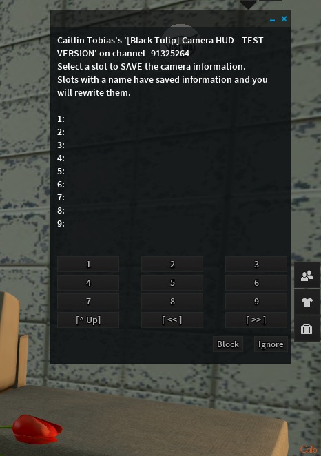 The Black Tulip Camera HUD – Cait's World