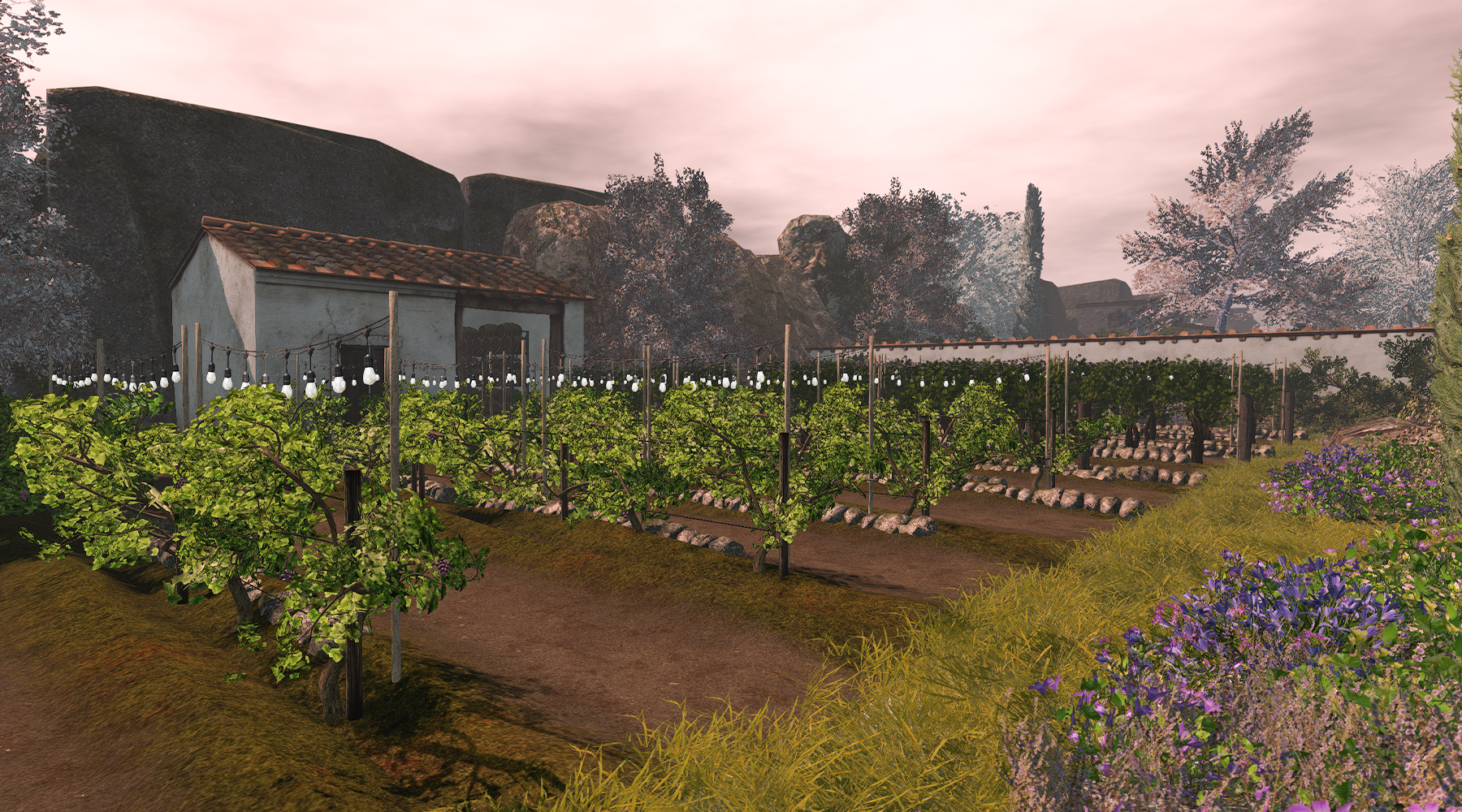My Responsible Visit to the Pour Up Winery & Vineyard – Cait's World